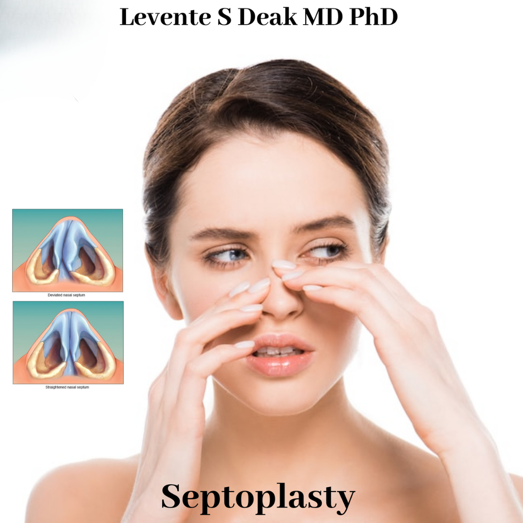 Gallery - about us - The Right Nose